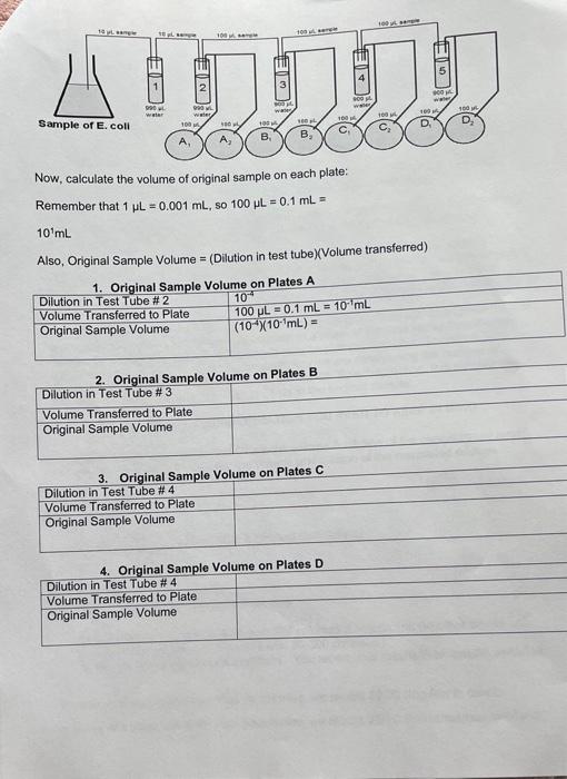 Solved Remember that 1μL=0.001 mL, so 100μL=0.1 mL= 101 mL | Chegg.com
