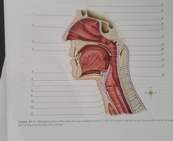 Solved 13 14 15 16 17 3 19 20 21 23 5 24 6 7 B 9 10 11 12 | Chegg.com