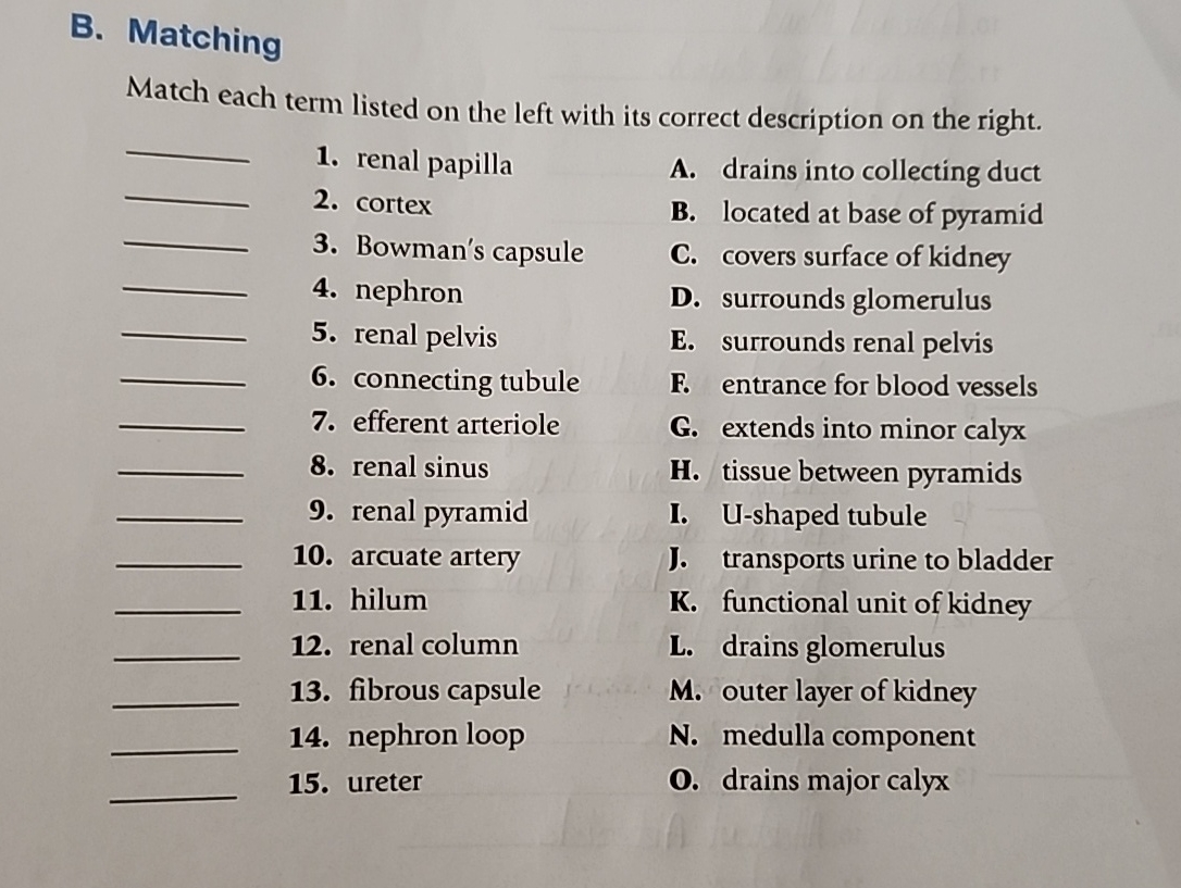 Solved B. ﻿MatchingMatch each term listed on the left with | Chegg.com