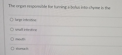 Solved The organ responsible for turning a bolus into chyme | Chegg.com