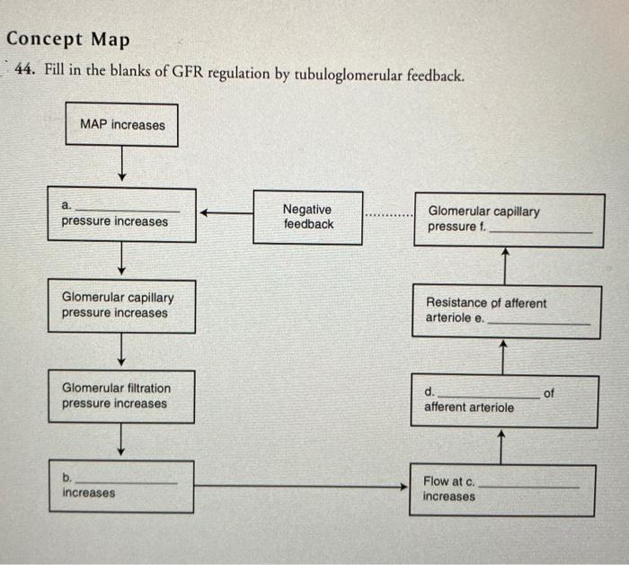 Solved 44. Fill in the blanks of GFR regulation by | Chegg.com