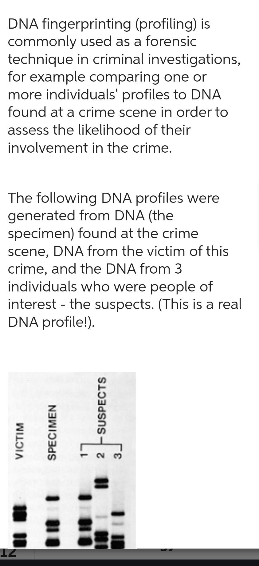 Solved DNA fingerprinting (profiling) ﻿is commonly used as a | Chegg.com