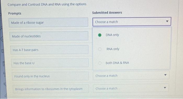Solved Compare and Contrast DNA and RNA using the options | Chegg.com