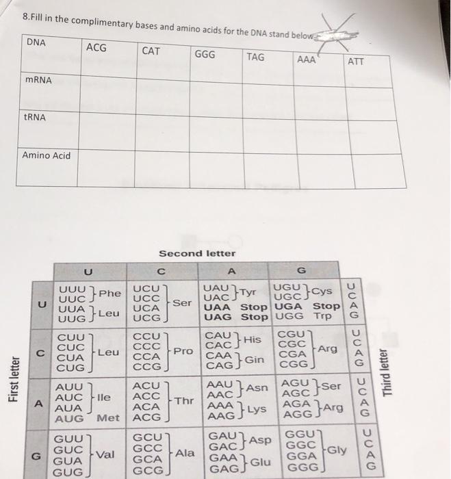 Solved 8. Fill in the complimentary bases and amino acids | Chegg.com