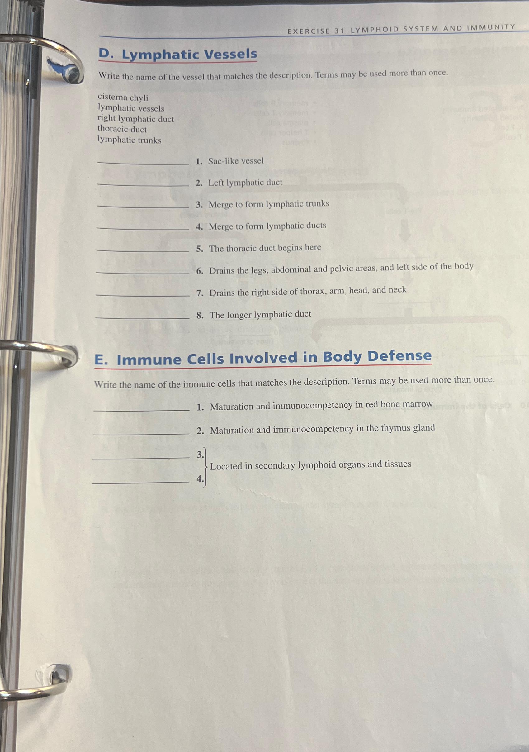 Solved EXERCISE 31 ﻿LYMPHOID SYSTEM AND IMMUNITYD. | Chegg.com