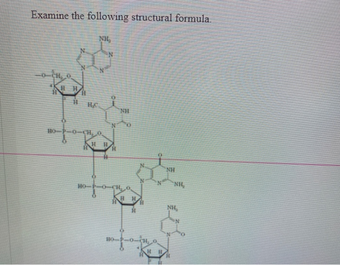 Solved Examine the following structural formula. NH H HC NH | Chegg.com