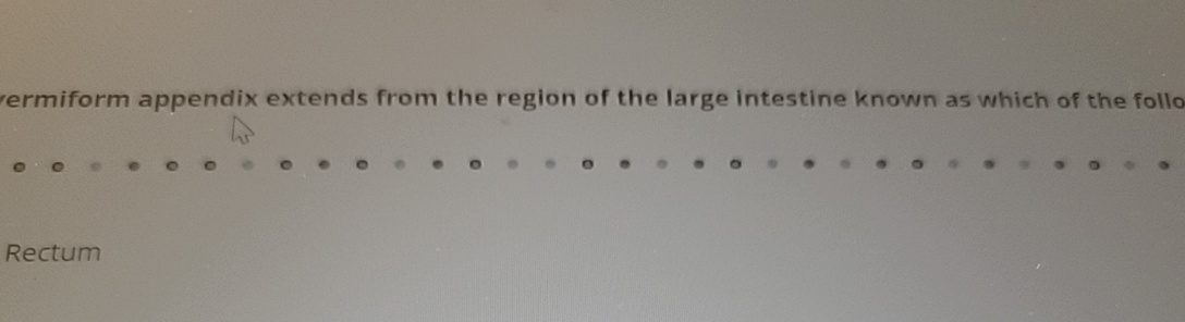 Solved ermiform appendix extends from the region of the | Chegg.com