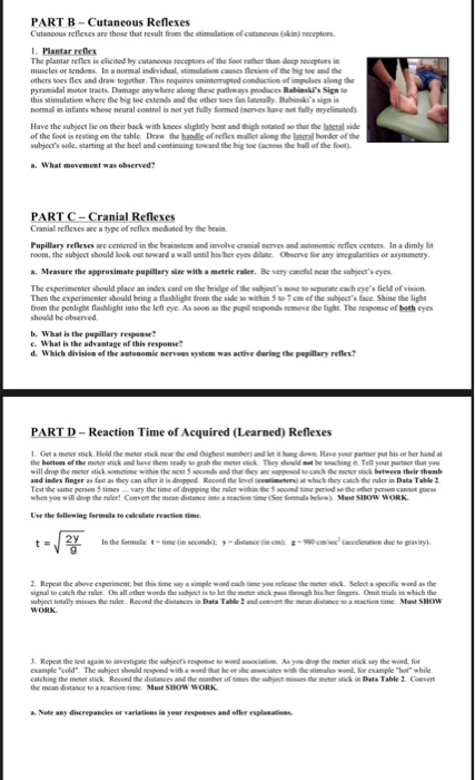 Solved PART A-Stretch Reflexes Stretch reflexes are those | Chegg.com