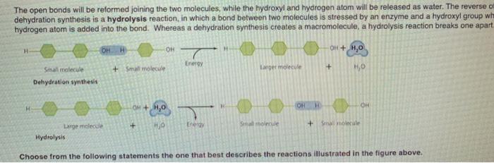Solved Using energy, an enzyme removes a hydroxyl group from | Chegg.com