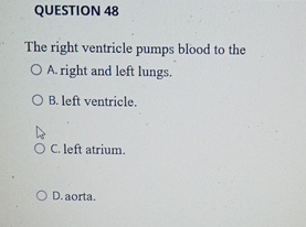Solved QUESTION 48The right ventricle pumps blood to theA. | Chegg.com