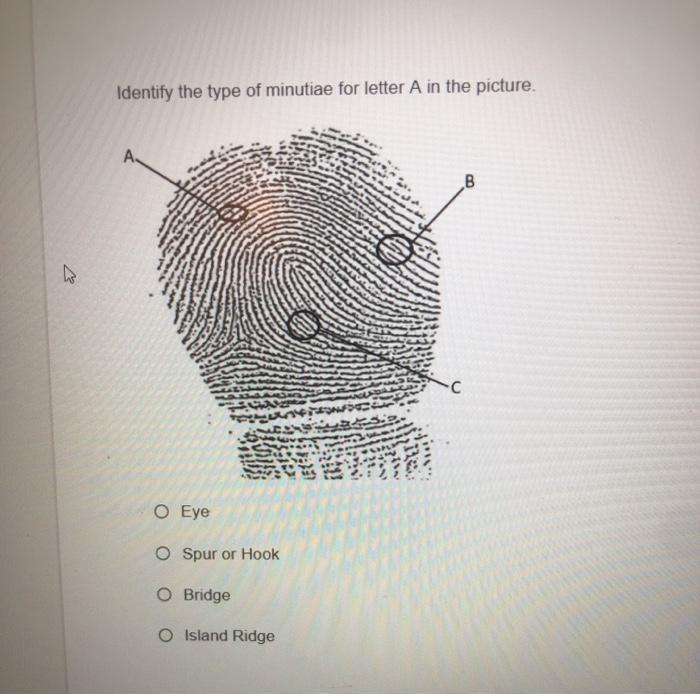 Solved Identify the type of minutiae for letter A in the | Chegg.com