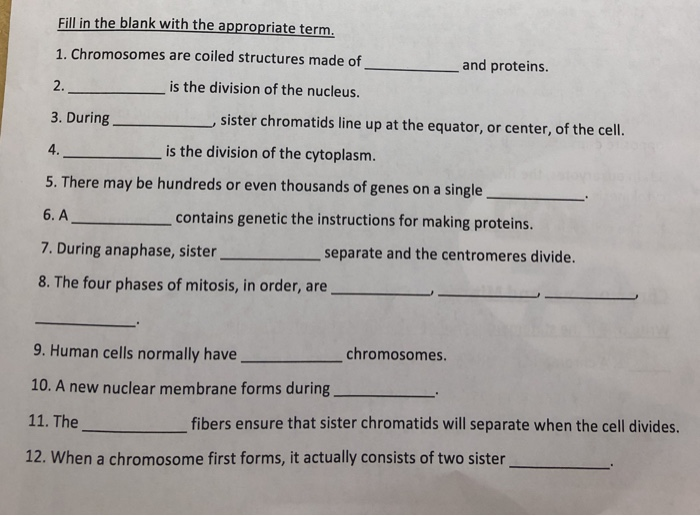 Solved Fill in the blank with the appropriate term. 1. | Chegg.com