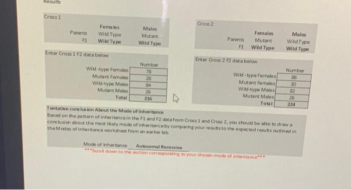 Solved \begin{tabular}{|l|r|r|r|r|} \hline & WT Females & | Chegg.com