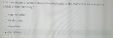 Solved The movement of a bolus down the esophagus to the | Chegg.com