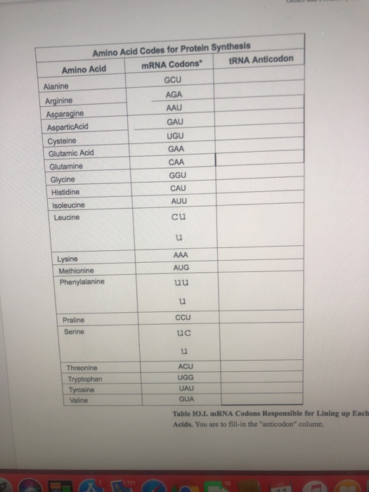 Solved Amino Acid Codes for Protein Synthesis Amino Acid | Chegg.com