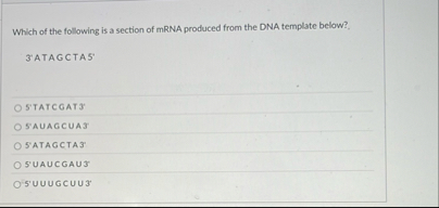 Solved Which of the following is a section of mRNA produced | Chegg.com