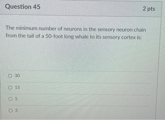 Solved Question 45 2 pts The minimum number of neurons in | Chegg.com
