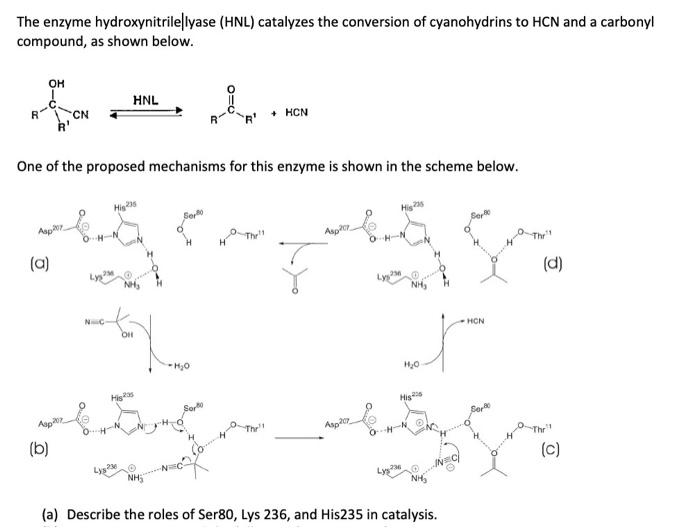 Solved The enzyme hydroxynitrile lyase (HNL) catalyzes the | Chegg.com