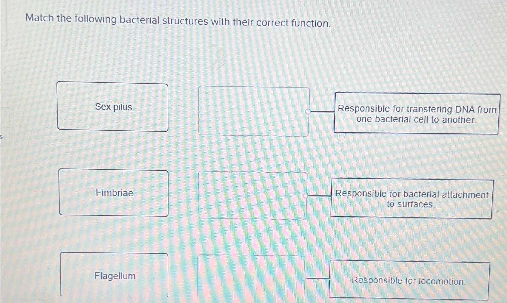 Solved Match the following bacterial structures with their | Chegg.com