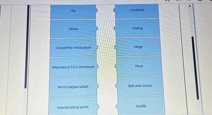 Solved help matching the joint types!! | Chegg.com
