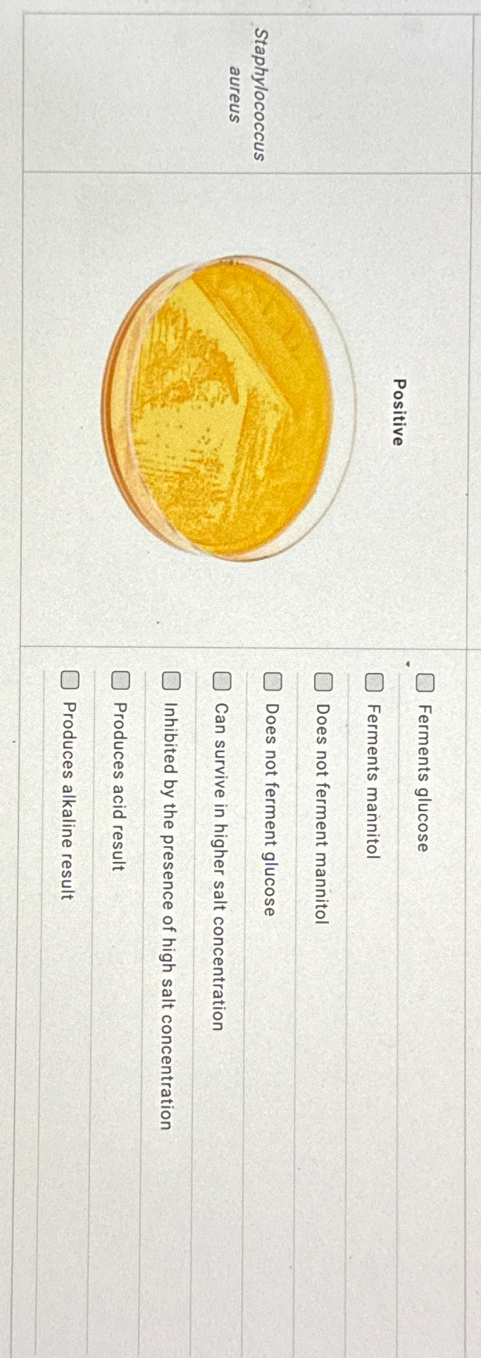 Solved Choose correct interpretation for Staphylococcus | Chegg.com Solved Choose correct interpretation for Staphylococcus | Chegg.com