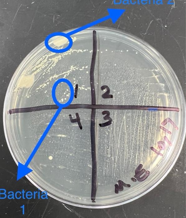 Solved 3. Identify the GENUS and SPECIES of the "pathogen" | Chegg.com