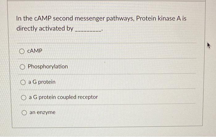 Solved In the cAMP second messenger pathways, Protein kinase | Chegg.com