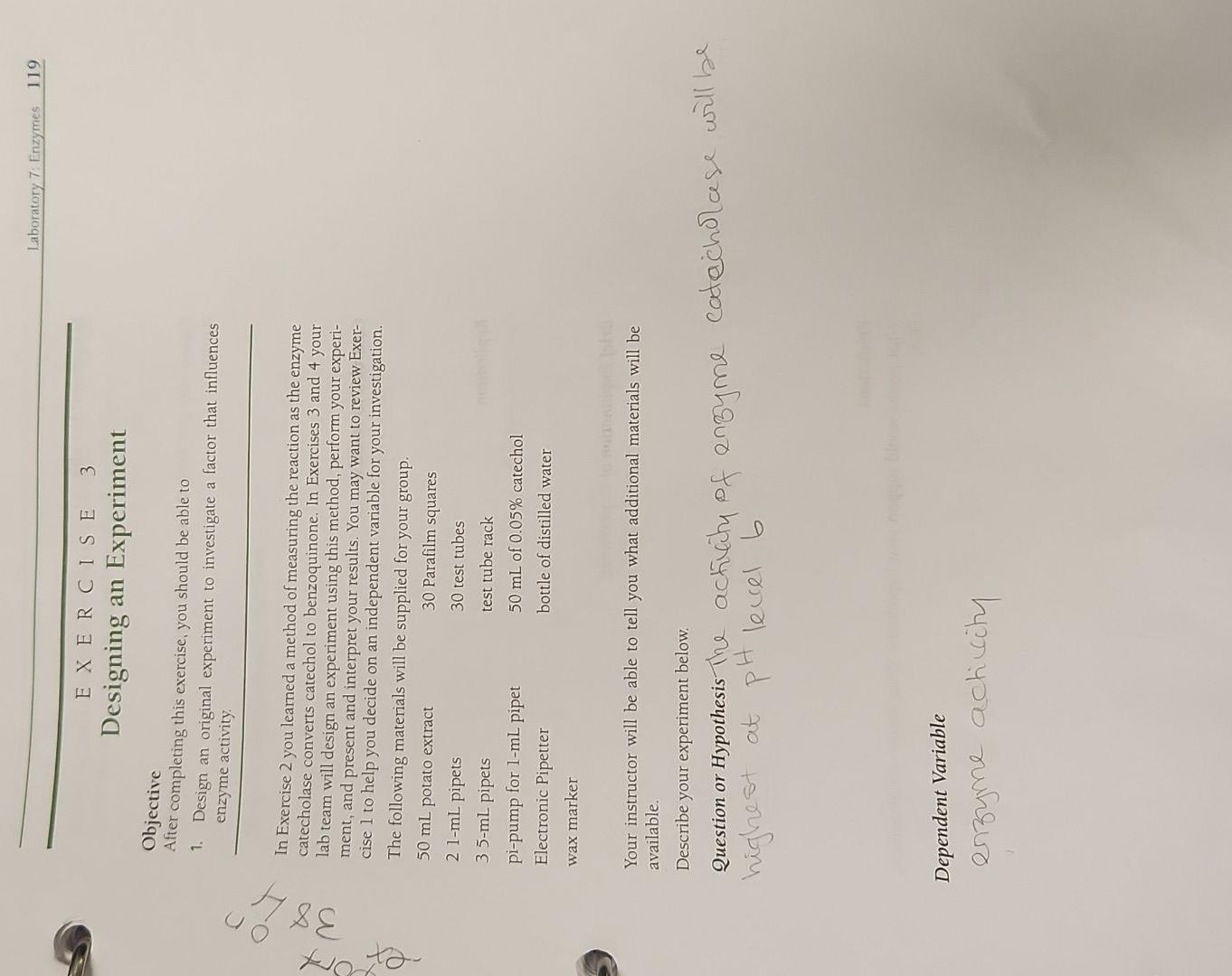 Solved Laboratory 7: Enzymes 119 EX E R C I S E 3 Designing | Chegg.com