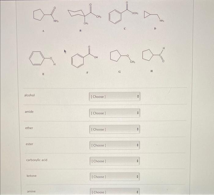 Solved Ii B E G 11 Alcohol Amide Ether Ester Carboxylic 6096