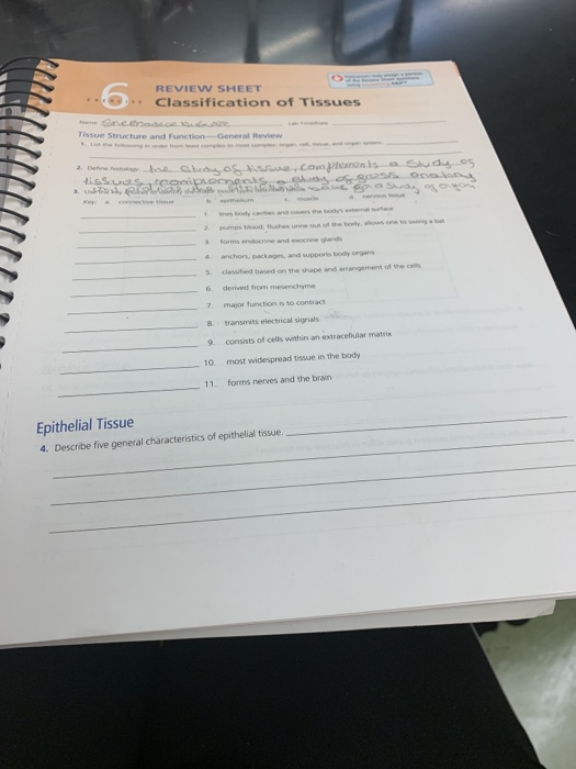 Solved REVIEW SHEET Classification of Tissues Tissue | Chegg.com