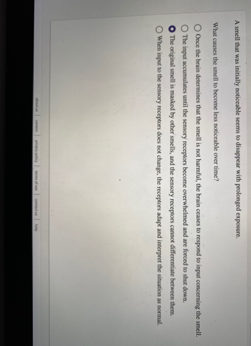 Solved A smell that was initially noticeable seems to | Chegg.com