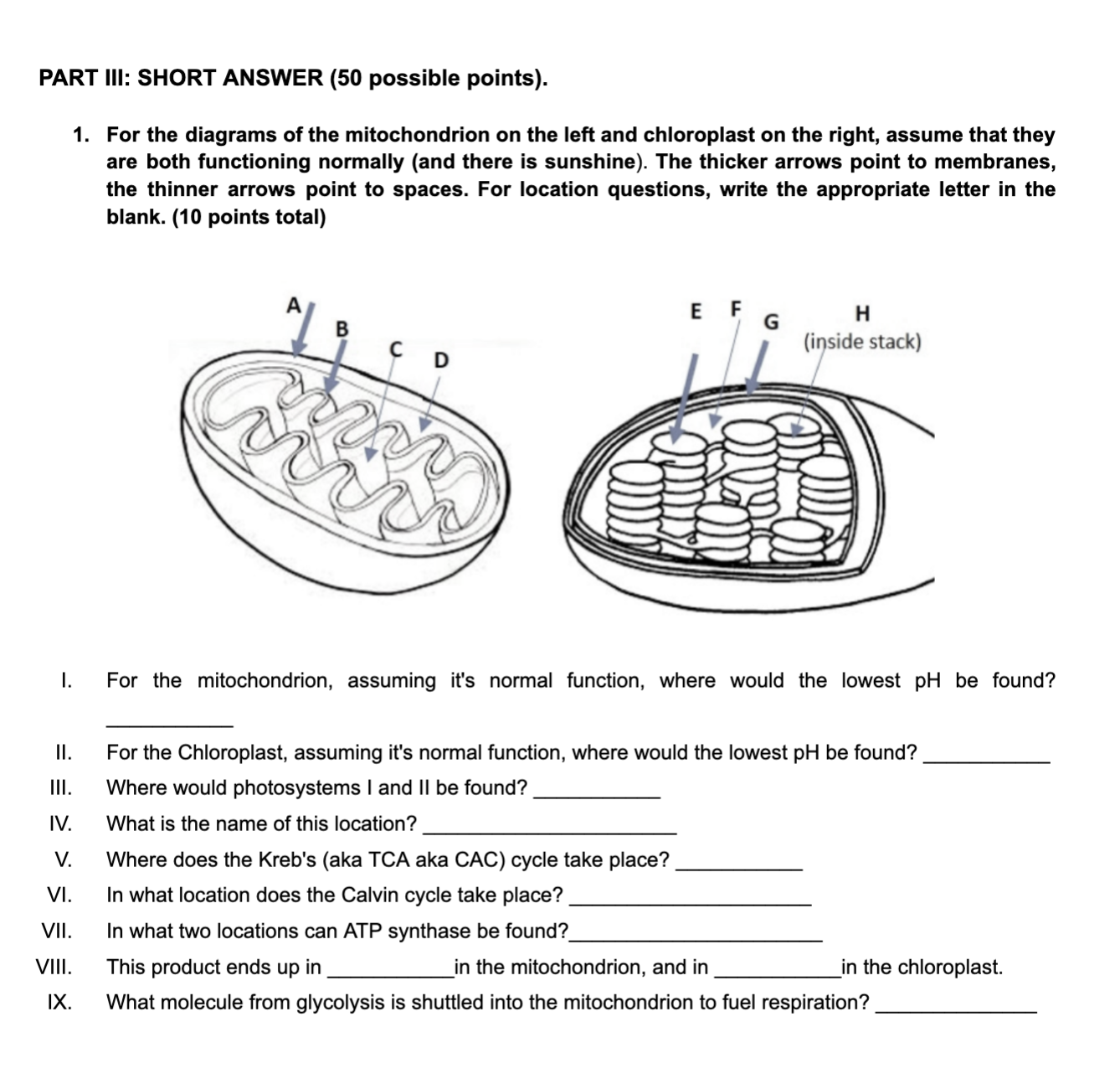 Solved For the diagrams of the mitochondrion on the left and | Chegg.com