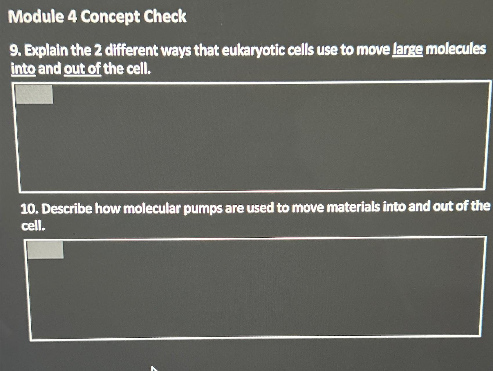 Solved Module 4 ﻿Concept Check9. ﻿Explain the 2 ﻿different | Chegg.com