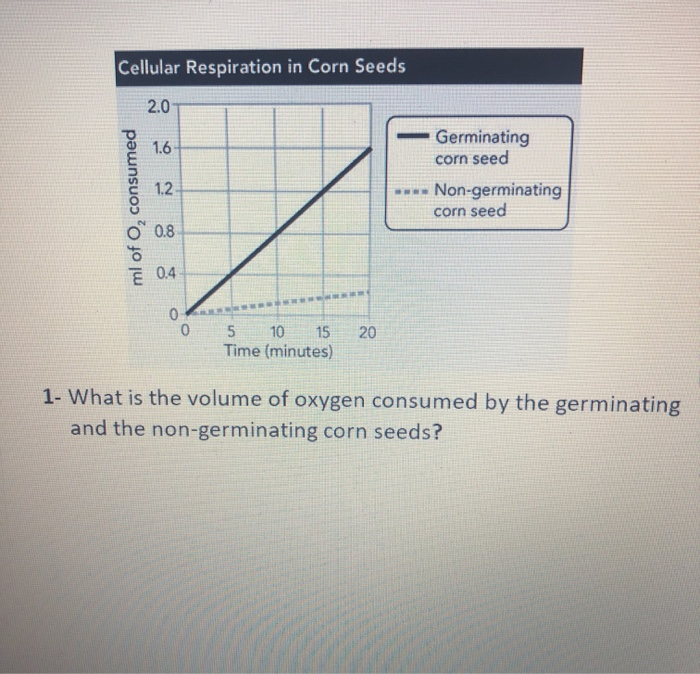 Solved Cellular Respiration in Corn Seeds 2.0 1.6 | Chegg.com