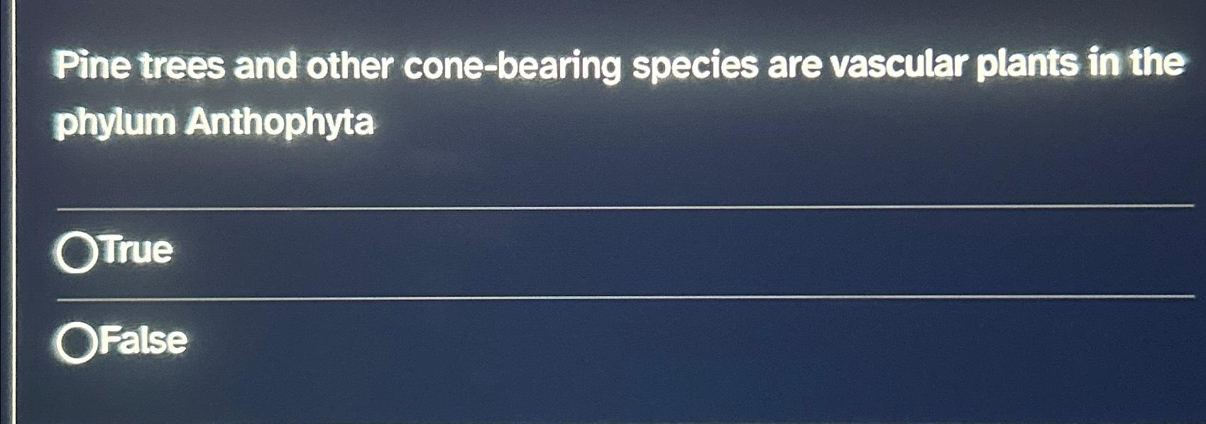 Solved Pine trees and other cone-bearing species are | Chegg.com