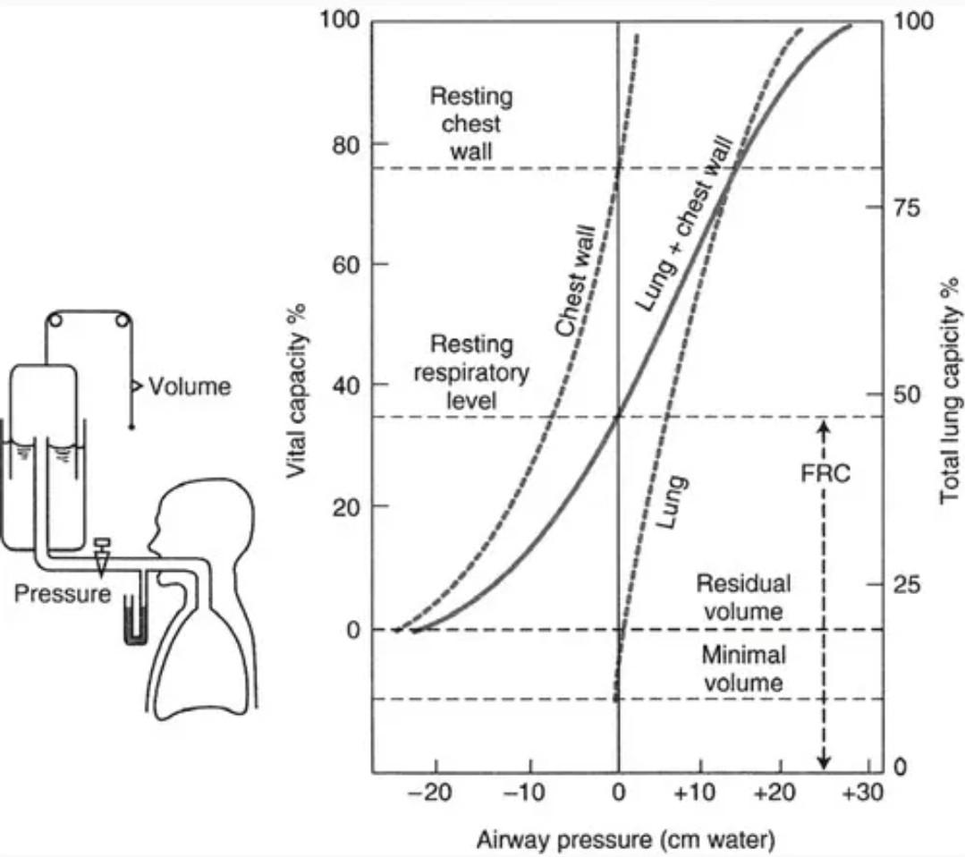 Solved Please describe the relaxation pressure | Chegg.com