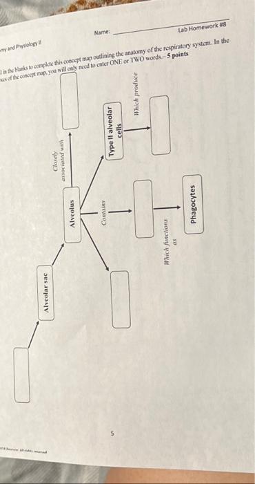 Solved my and Physiology II Lab Homework #8 l in the blanks | Chegg.com