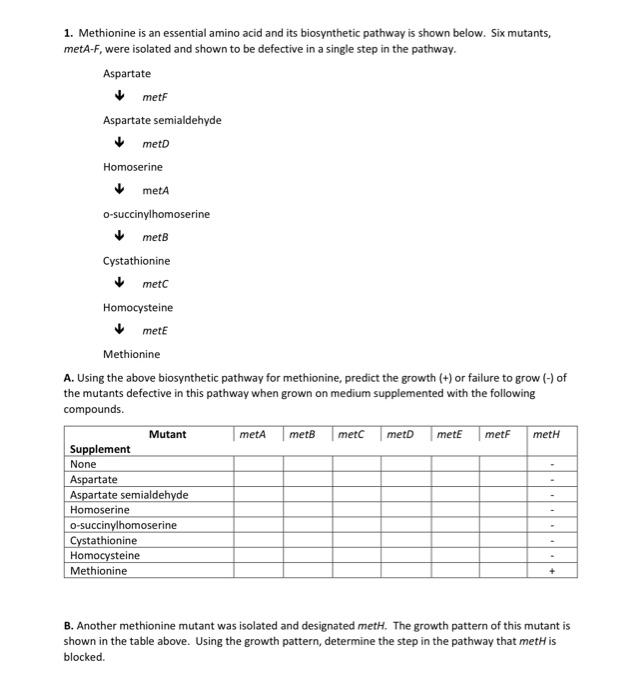 Solved Tilipi 1. Methionine is an essential amino acid and | Chegg.com
