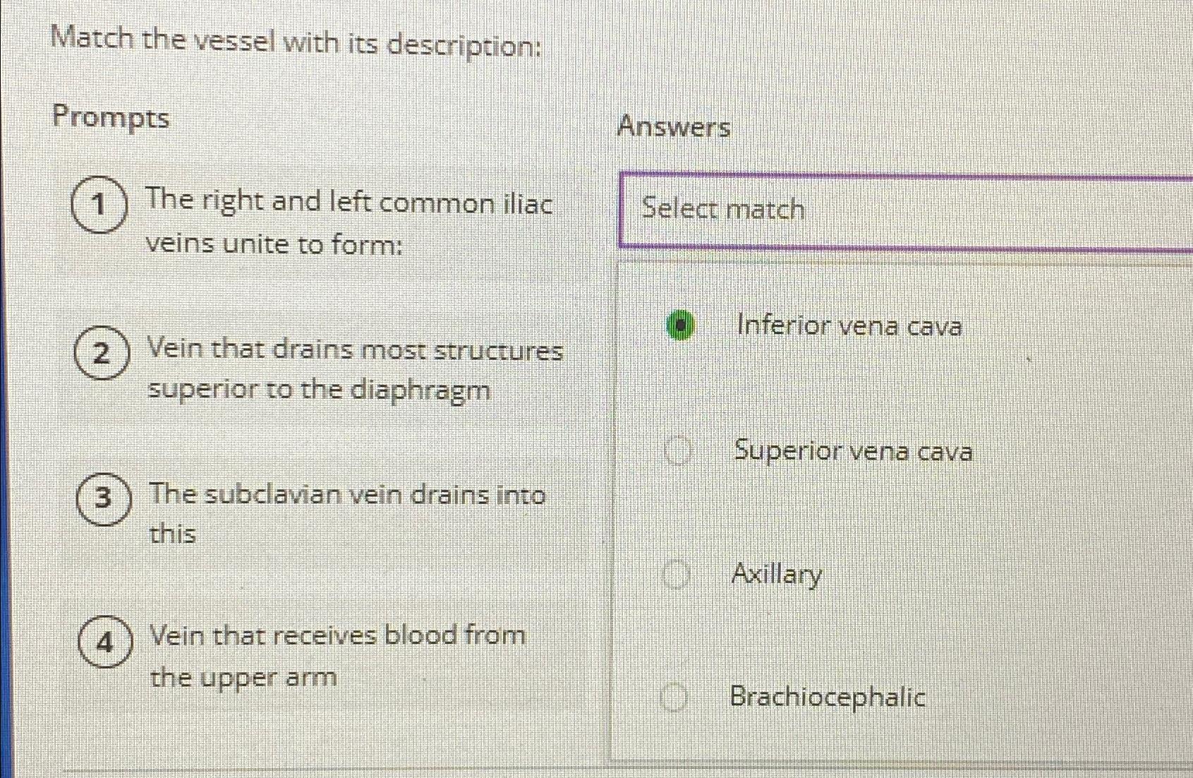 Solved Match the vessel with its | Chegg.com