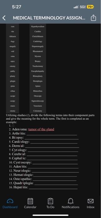 Solved Utilizing slashes ( ( ) divide the following terms | Chegg.com