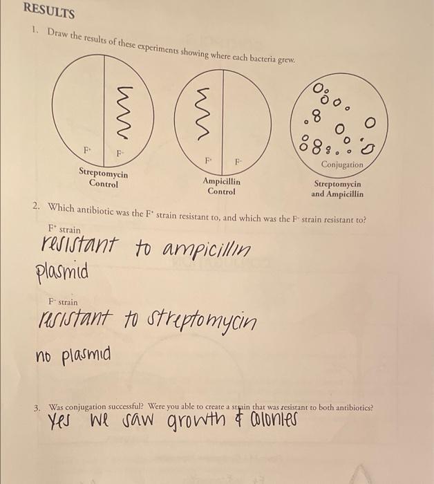 Solved In our conjugation experiment (Lab 14), which gene(s) | Chegg.com