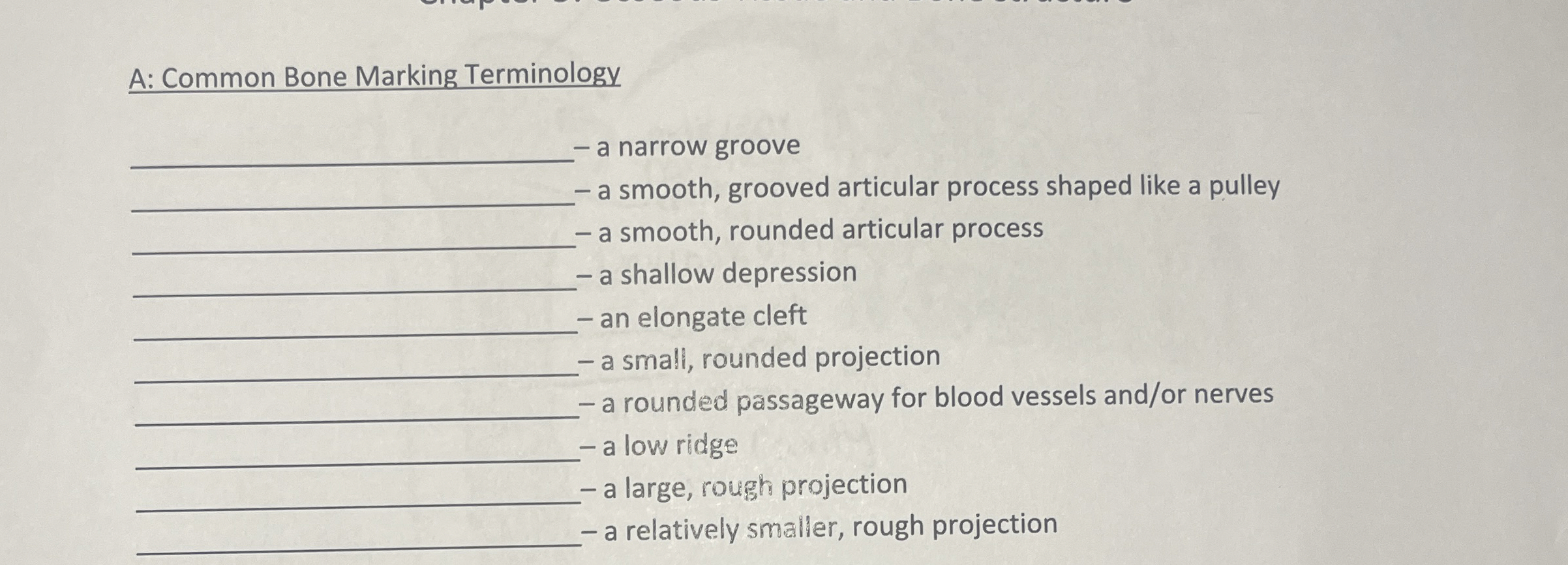 Solved A: Common Bone Marking Terminology q,a narrow groove | Chegg.com