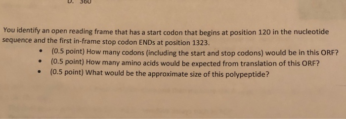 Solved U. JOU You identify an open reading frame that has a | Chegg.com