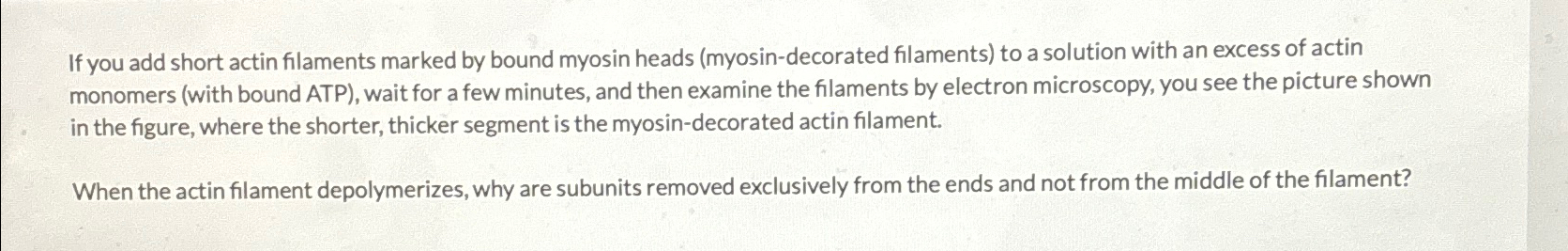 Solved If you add short actin filaments marked by bound | Chegg.com
