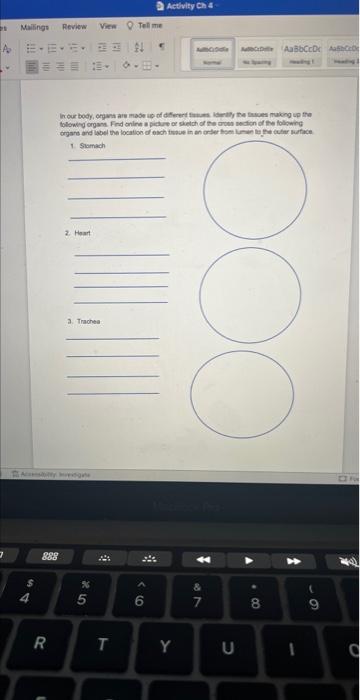 Lab Activity Chapter 4 Identify the tissues in the | Chegg.com