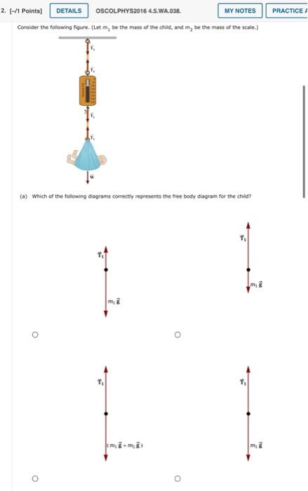 Solved Consider the following figure. (Let m1 be the mass of | Chegg.com