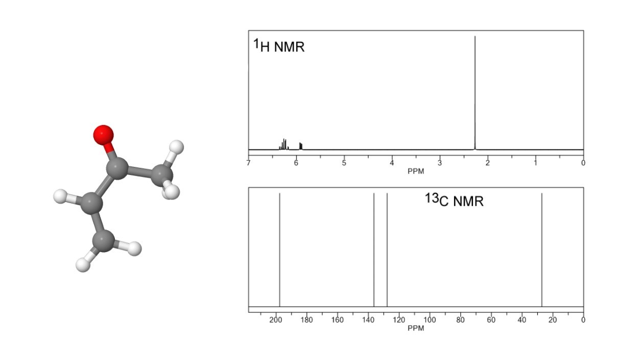 Solved Explain the peaks of the NMR spectra. | Chegg.com