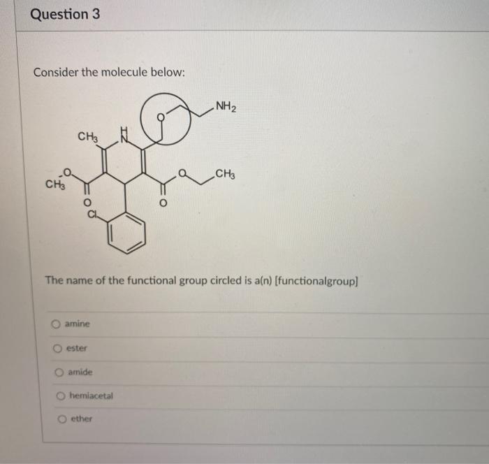 Solved Question 3 Consider the molecule below: NH2 CH3 CH3 | Chegg.com