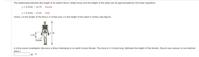 Solved The relationship between the length of an adult's | Chegg.com