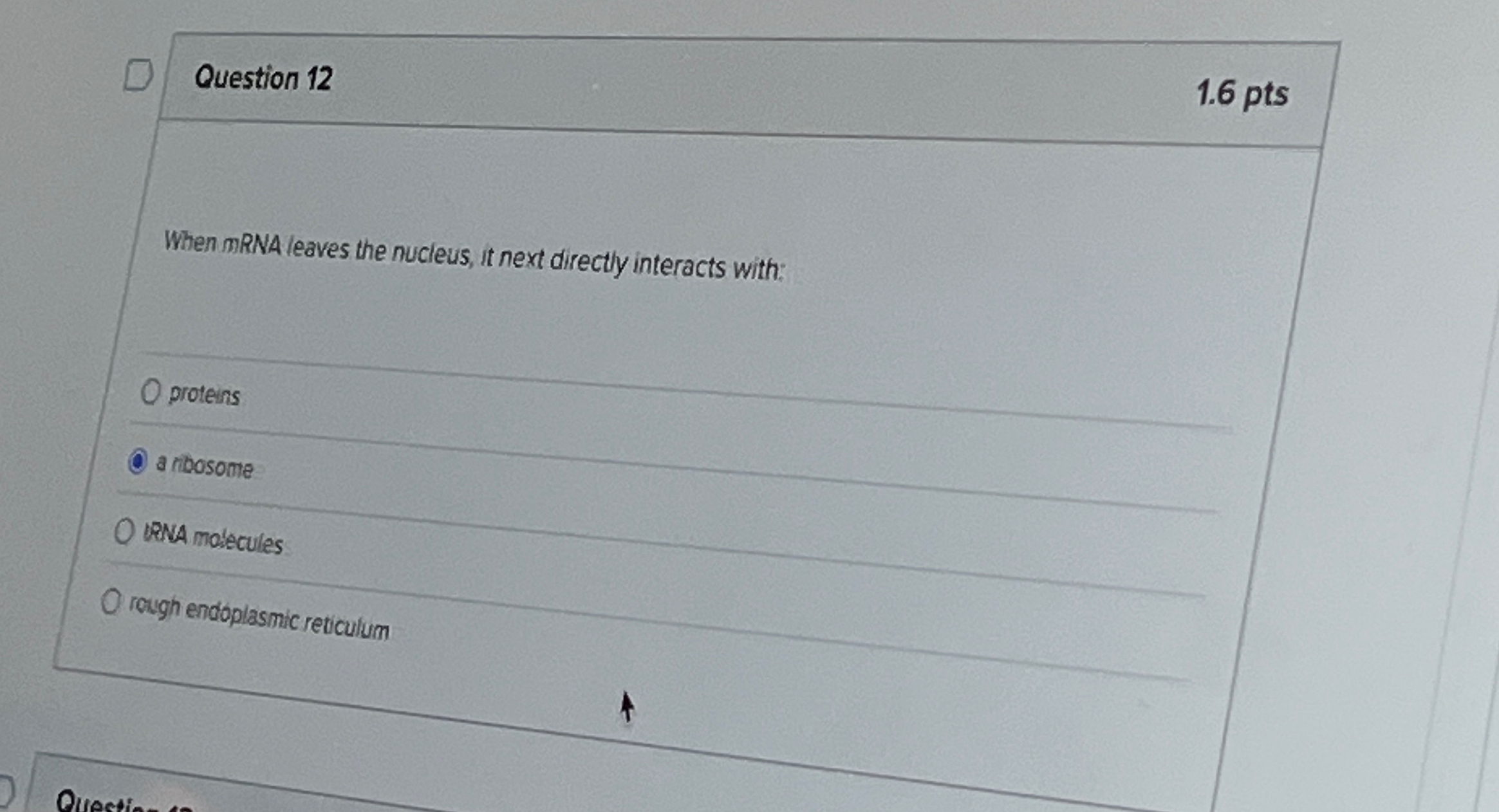 Solved Question 121.6 ﻿ptsWhen mRNA leaves the nucleus, it | Chegg.com